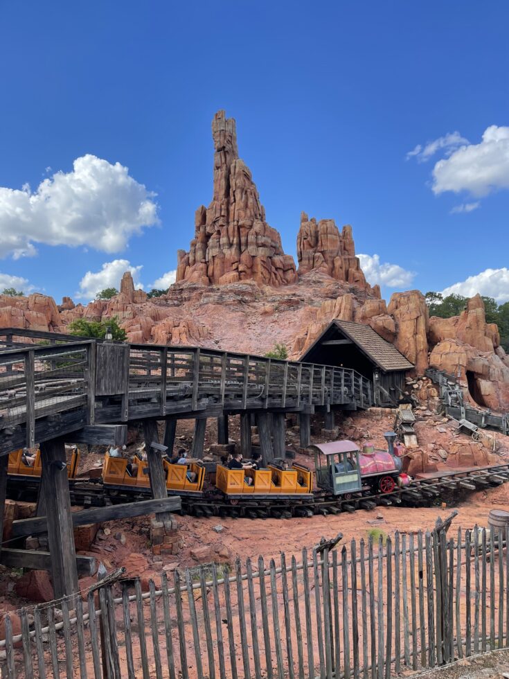 Roller Coasters in Disney World - EverythingMouse Guide To Disney