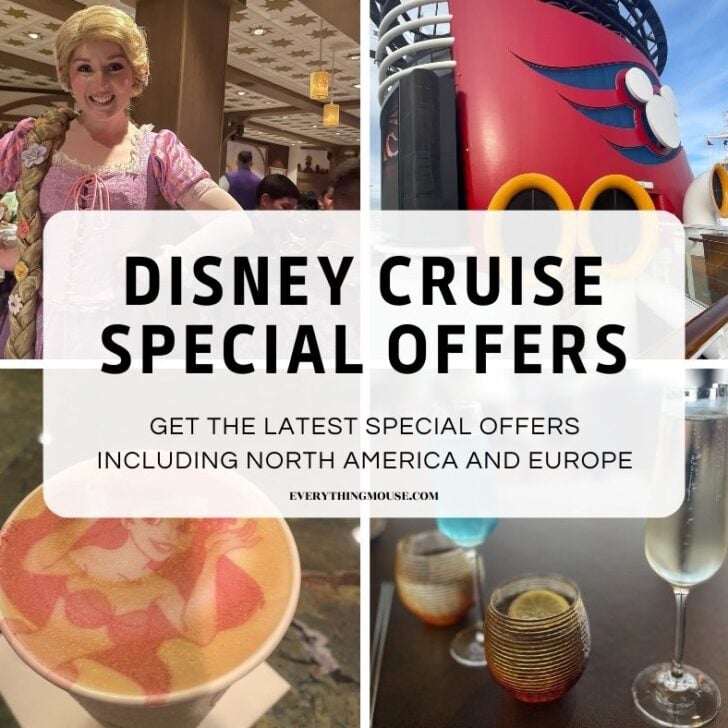 How Much Does a Disney Cruise Cost - Discover How all the Ships Compare - EverythingMouse Guide ...